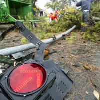 70-foot tree topples, taking down light post | News | lodinews.com