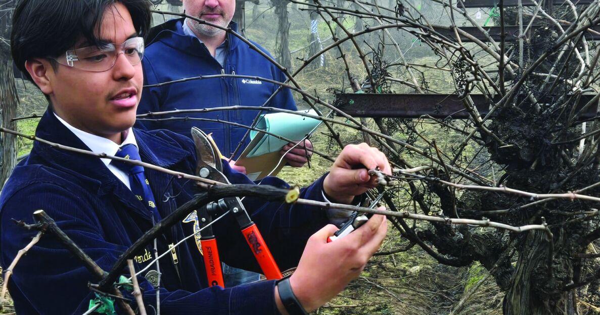 Pruning contests help students plant roots in the ag profession ...