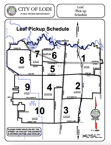 City of Lodi to begin second cycle of leaf pickup on Tuesday | News | lodinews.com