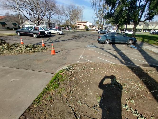 Lodi set to tackle projects at Blakely, Hale parks | News | lodinews.com