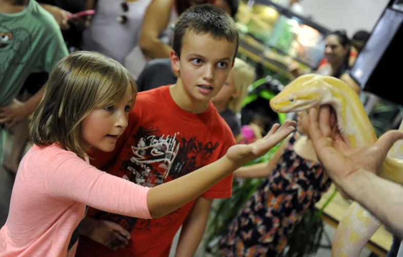 Lodi Grape Festival in photos | News | lodinews.com