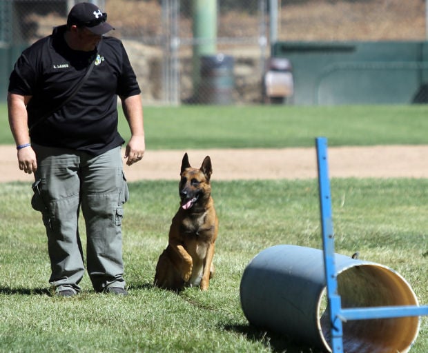10th Annual Art O’Keefe Memorial K9 Trials | News | lodinews.com