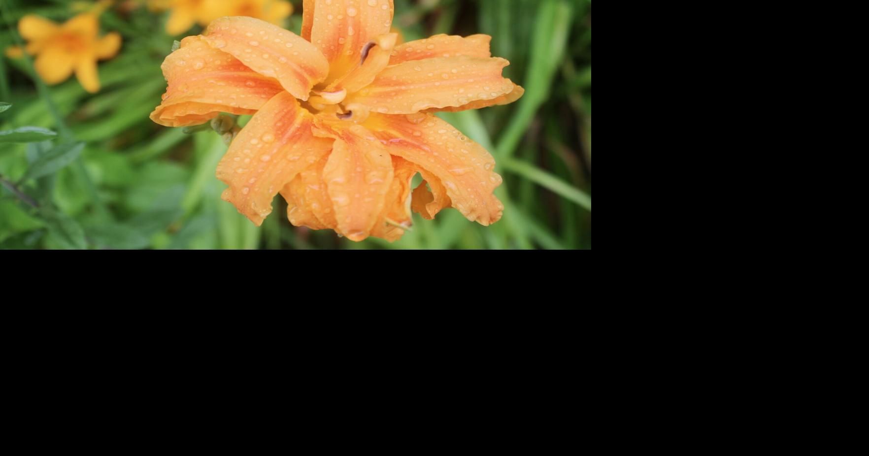 Three things to know | News | logandaily.com