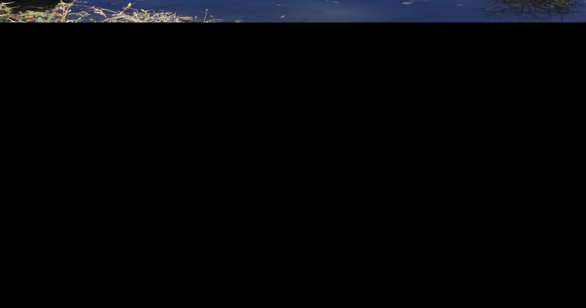 ODNR offers free educational programs | News | logandaily.com