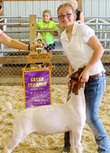 Small animal action at Hocking County fair tonight | News | logandaily.com