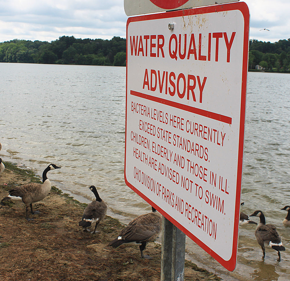E. coli reported at Lake Logan; water quality advisory issued | News ...