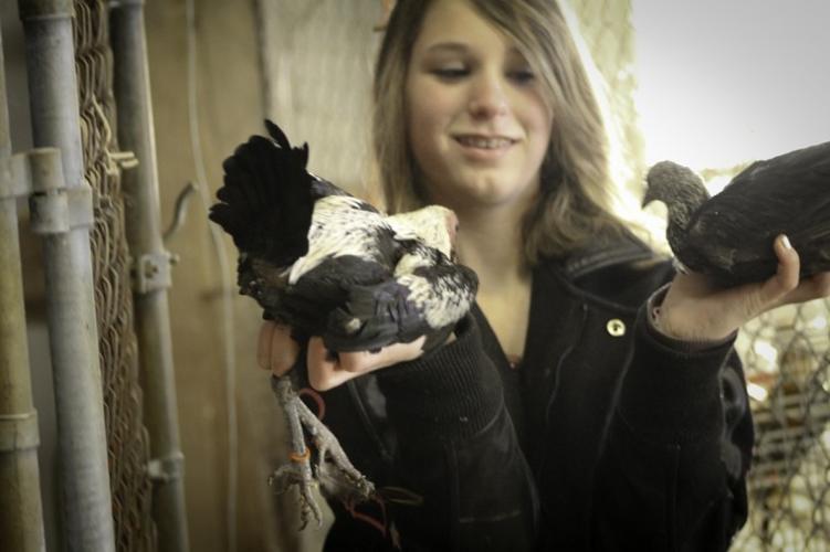 A Day in the Life: Tori Rinehart | Gallery | logandaily.com