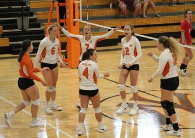 Buckeyes return to district tourney | Sports | logandaily.com