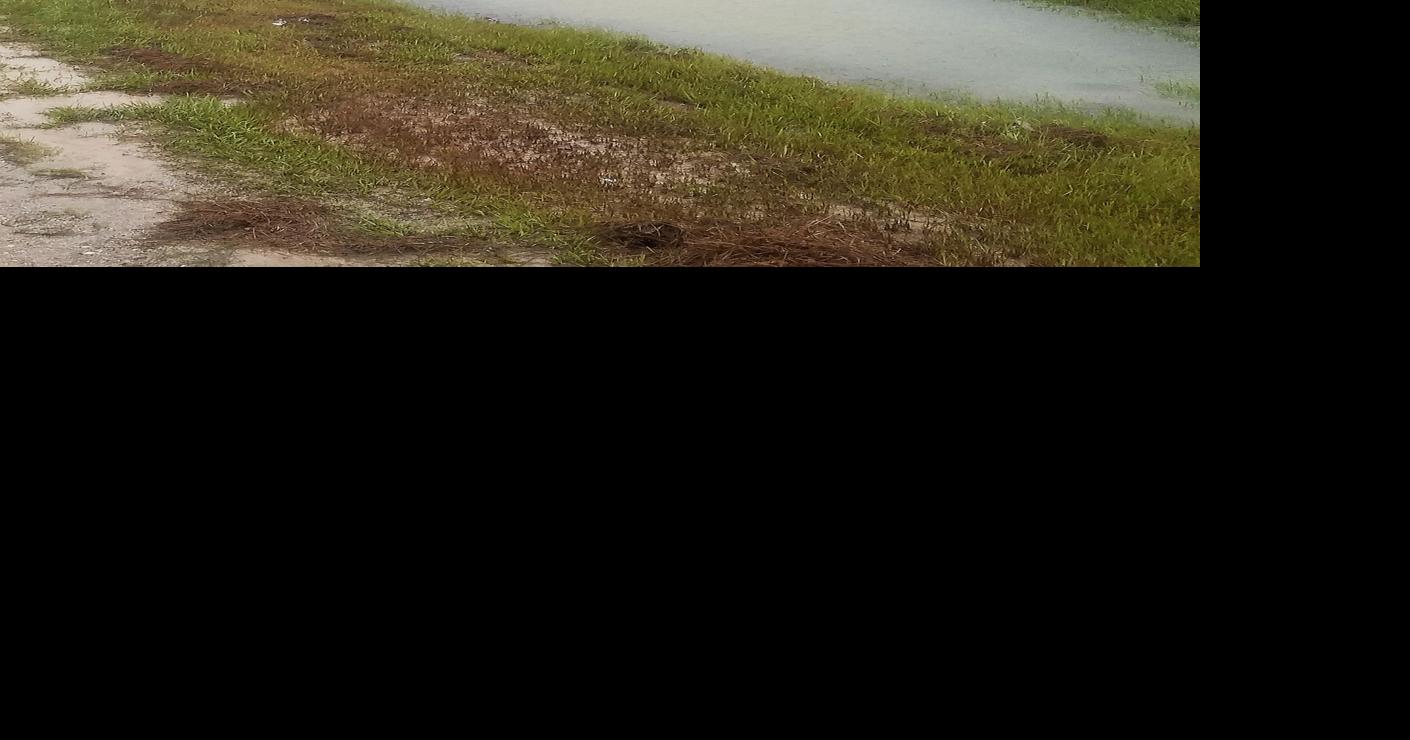 Logan native on flooding disaster in Texas | News | logandaily.com
