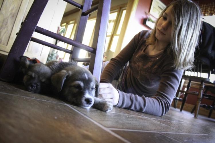 A Day in the Life: Tori Rinehart | Gallery | logandaily.com