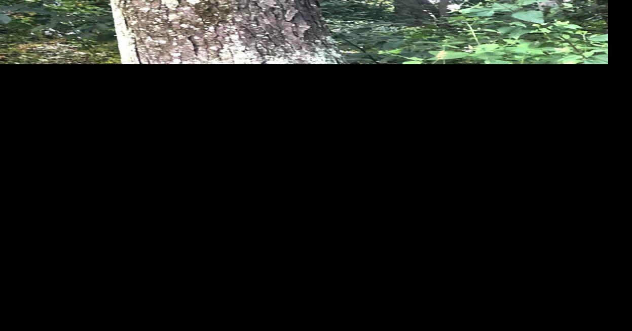 Mile markers placed along the Hocking River | News | logandaily.com