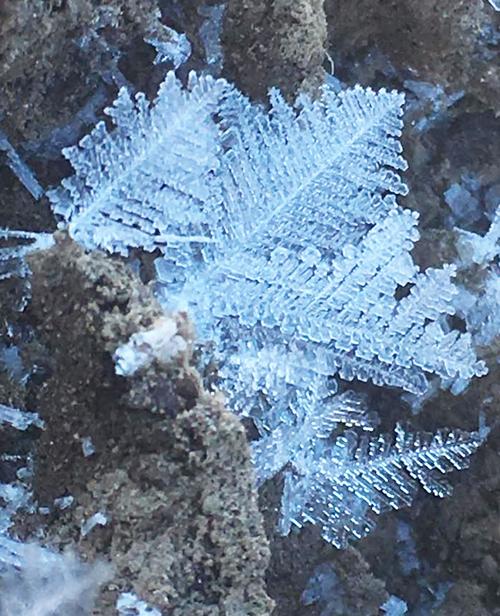 Ice ice angels! | News | logandaily.com