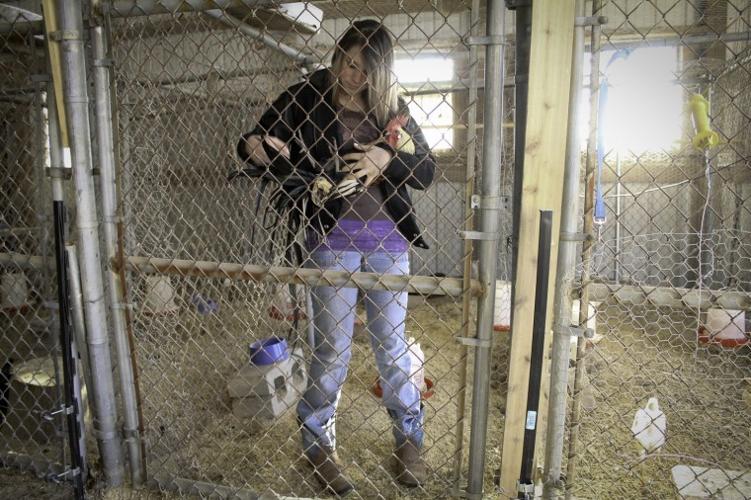 A Day in the Life: Tori Rinehart | Gallery | logandaily.com