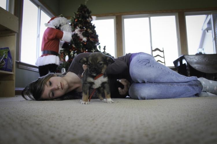 A Day in the Life: Tori Rinehart | Gallery | logandaily.com