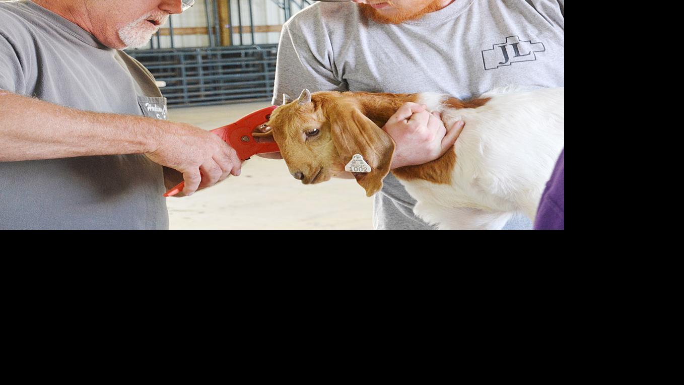 That really gets my goat! | News | logandaily.com