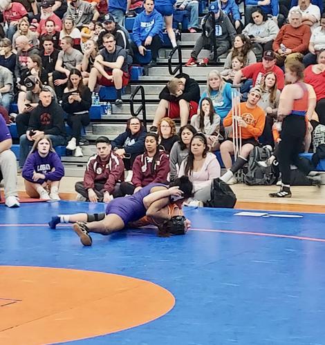 Hamilton qualifies for girls' state championships | Sports | logandaily.com