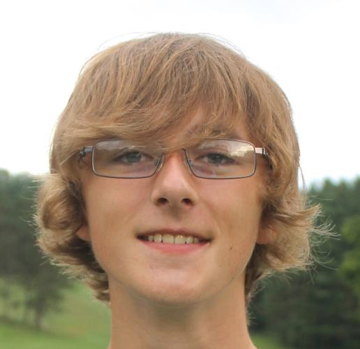 Poling named 2nd team All-district in boys golf | Sports | logandaily.com