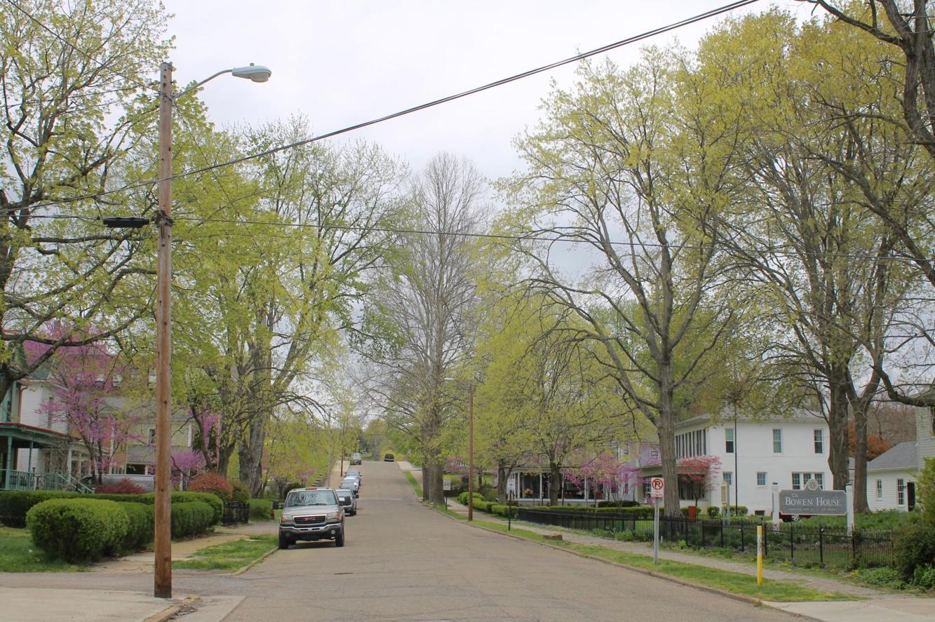 Grant-funded project will make Logan more leafy | News | logandaily.com