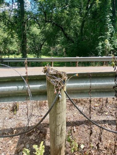 Residents worry about long-downed cable line | News | logandaily.com