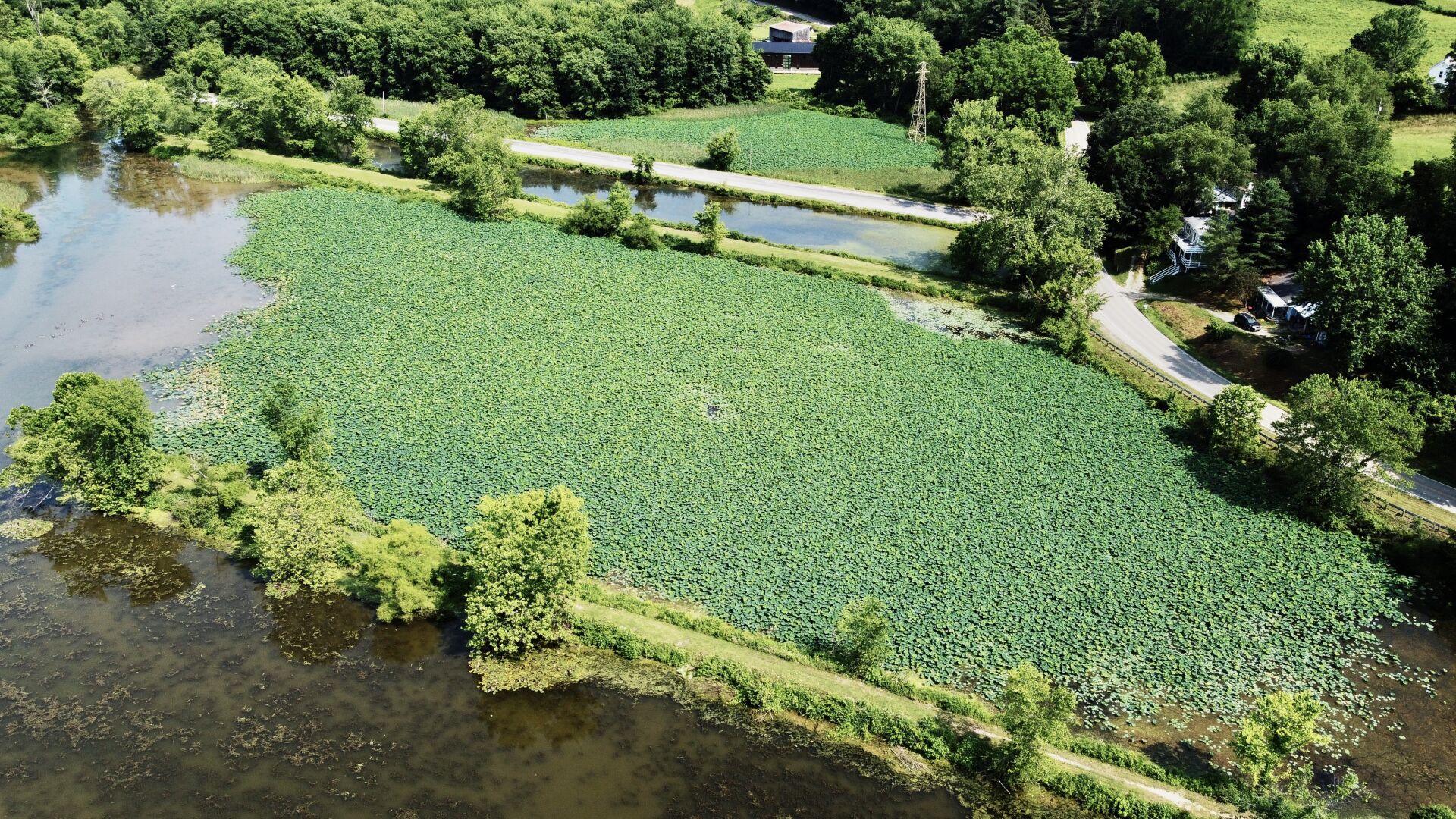 Lake Logan group seeks support from governor, state auditor | News ...