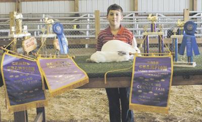 Taulbee named showmanship, breeding champion during rabbit show | News ...