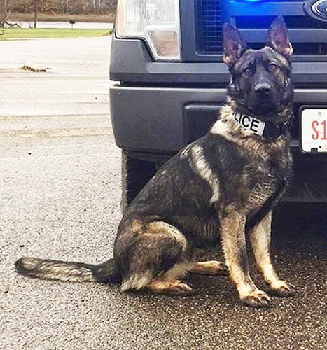 ODNR announces K9 unit program | News | logandaily.com