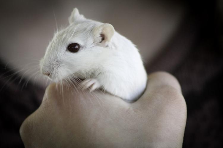 A Day in the Life: Tori Rinehart | Gallery | logandaily.com