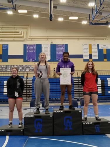 Hamilton advances to Regionals | Sports | logandaily.com
