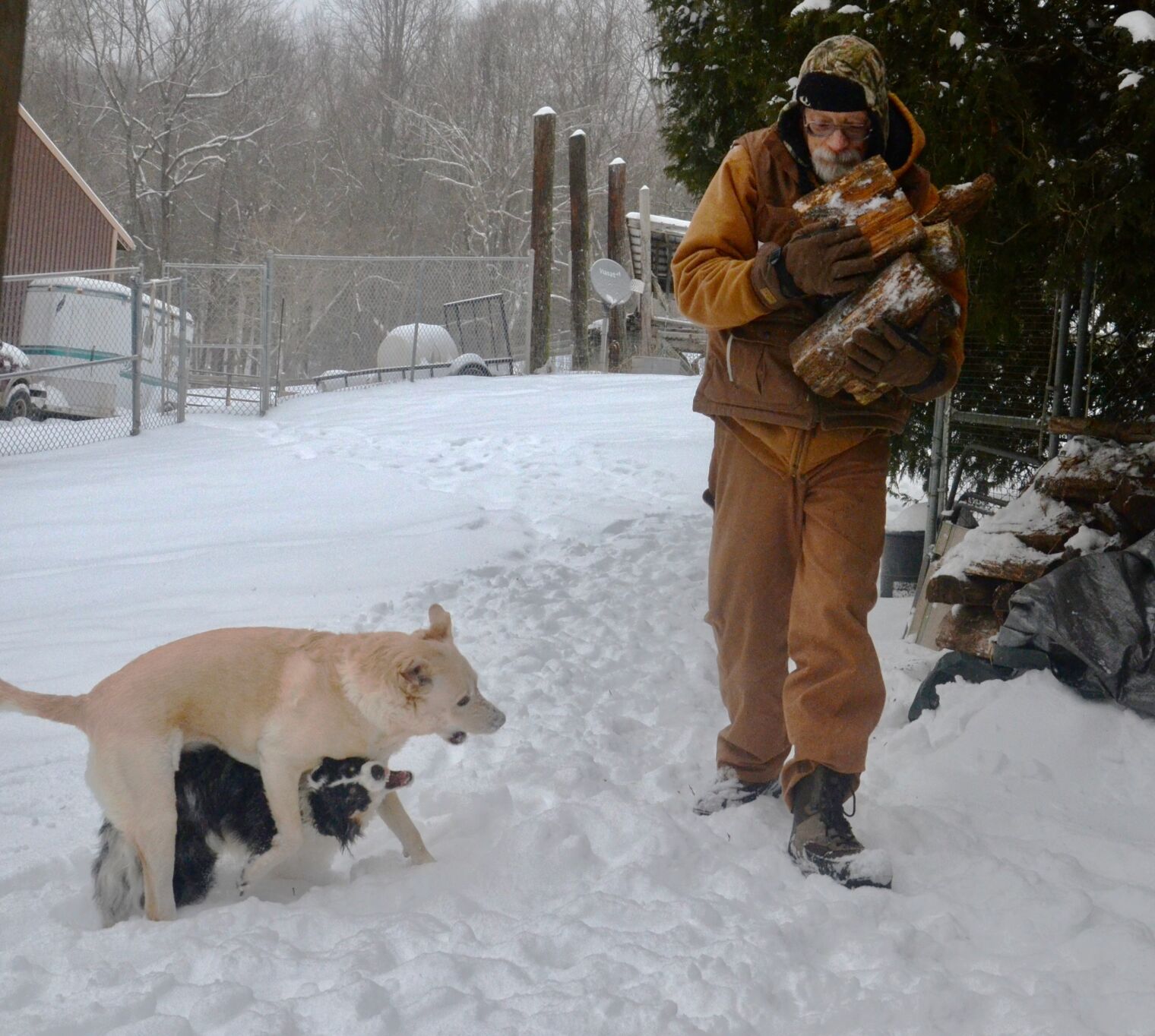 Guess who’s having fun | News | logandaily.com