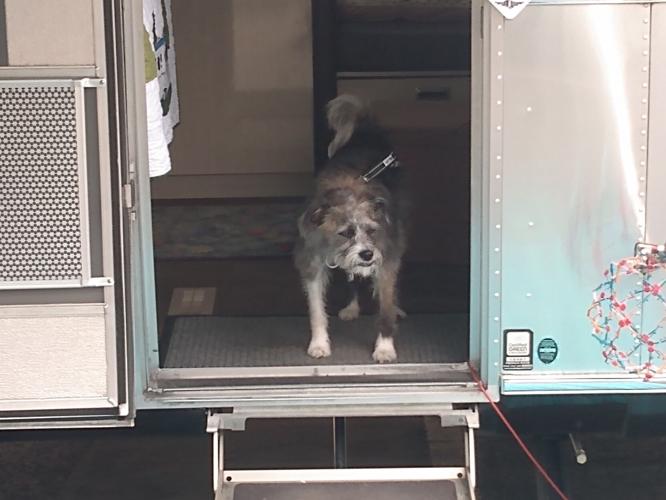 Seen at the Airstream event | | logandaily.com