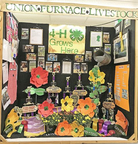 4-H Fair booth winner | News | logandaily.com
