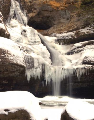 Bee-coming the winners | News | logandaily.com