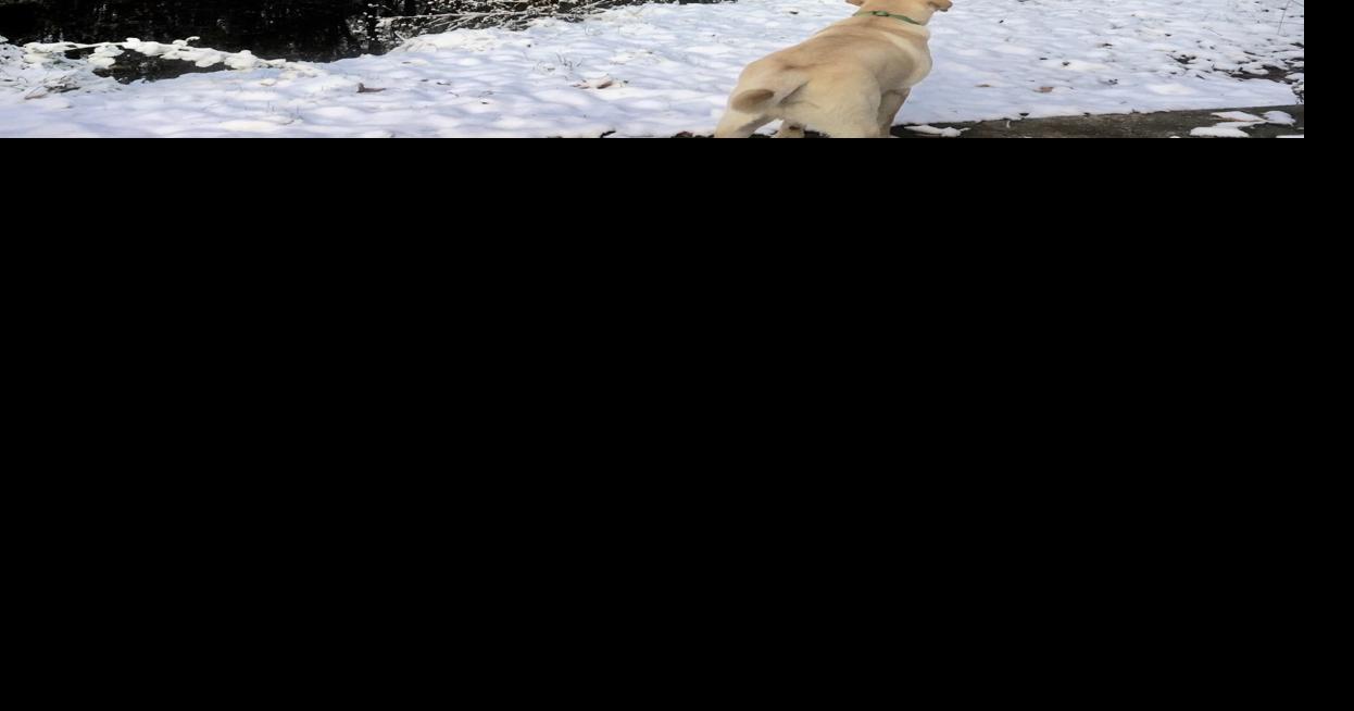 First snowfall | News | logandaily.com