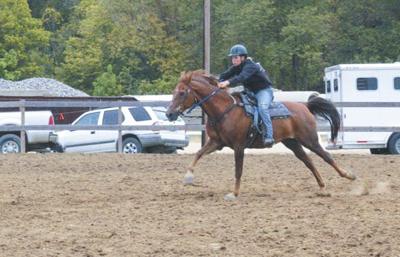 Rinehart takes top horse honors | News | logandaily.com