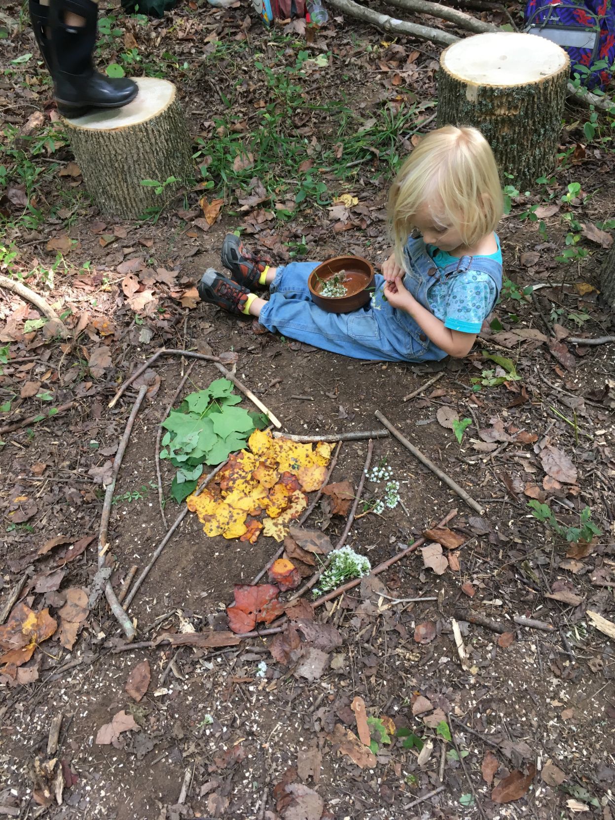 Nature-based school to begin this fall | News | logandaily.com