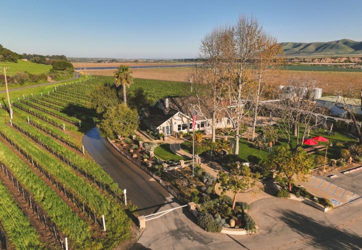 Riverbench Vineyard and Winery celebrates 50 years in the Santa Maria ...