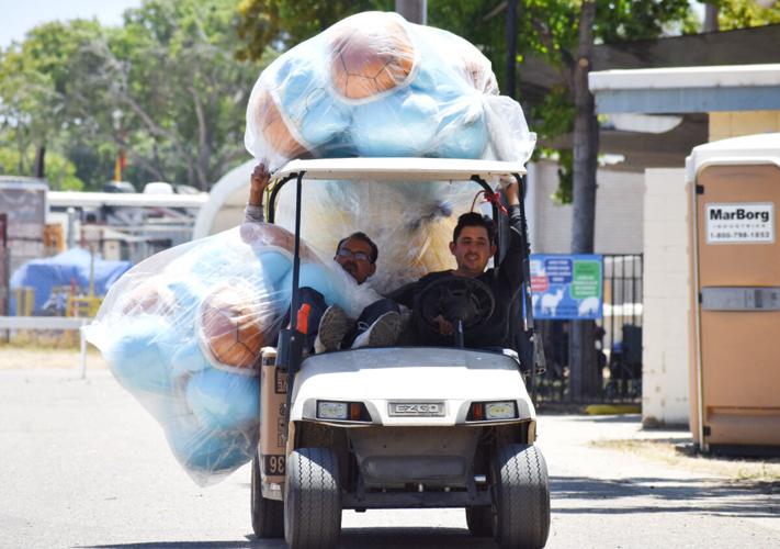 Fun continues this weekend at the Santa Barbara County Fair in Santa ...