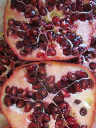 Dormant pruning for fruit trees | Tony Tomeo | Home & Garden ...