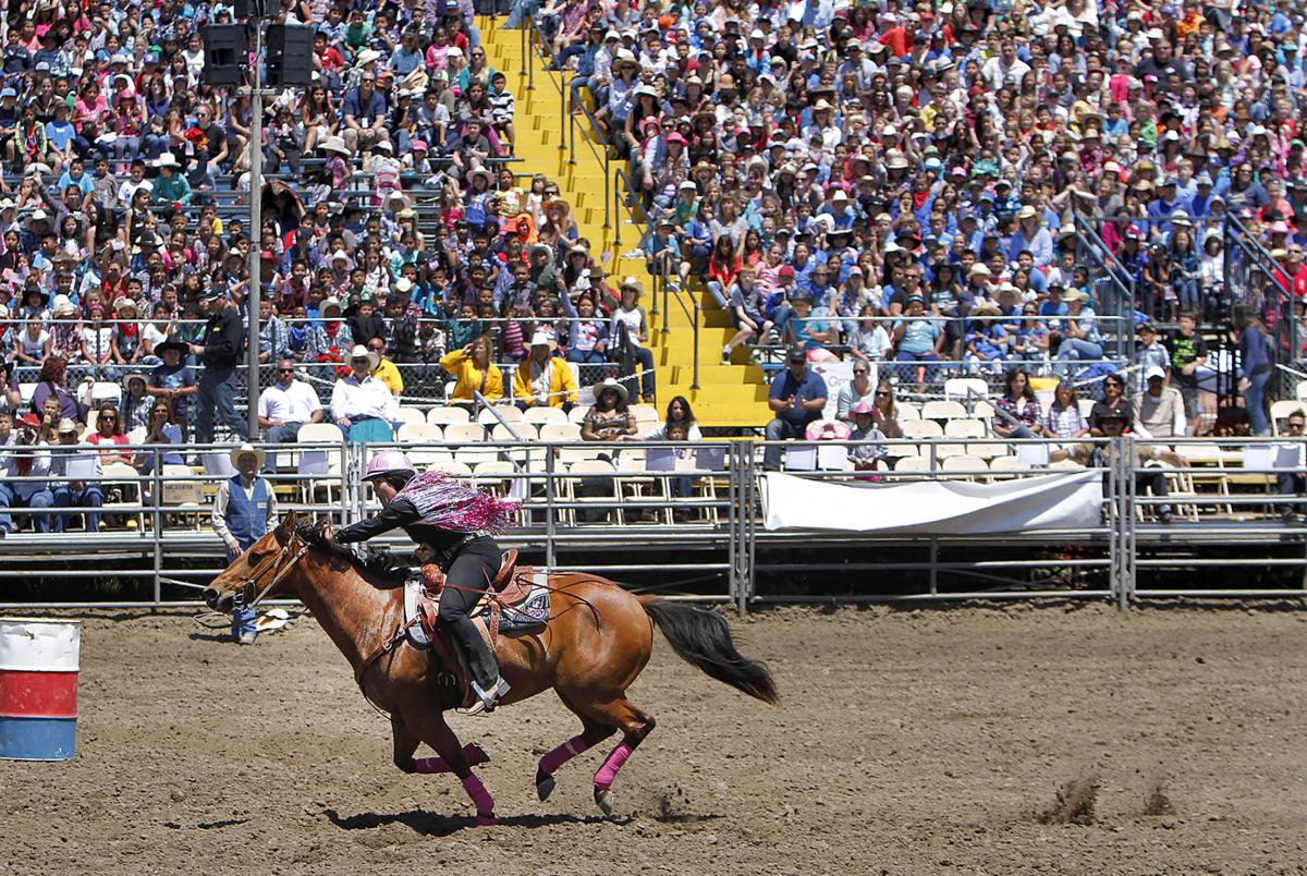 Kids star at Minetti Mini Rodeo | Rodeo | lompocrecord.com