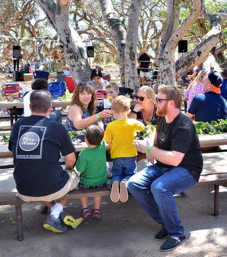 Lompoc voters will decide whether to give up 82 acres for space center ...