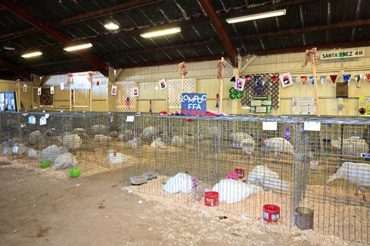 Santa Barbara County Fair will open Wednesday with ‘Salute to ...