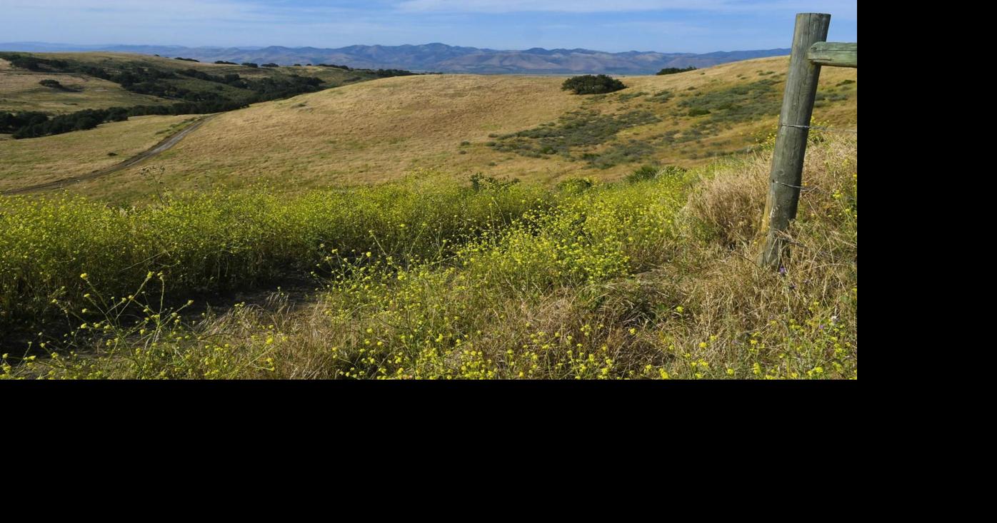 Guided New Year’s day hikes set for Sunday at Los Flores Ranch Park ...