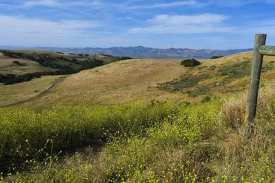 Guided New Year’s day hikes set for Sunday at Los Flores Ranch Park ...