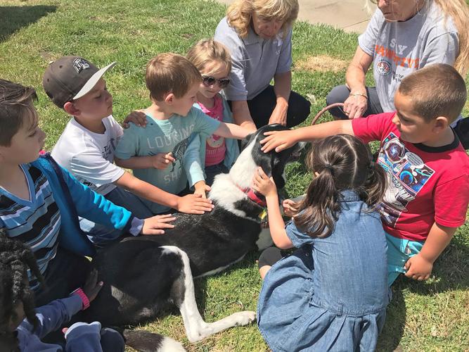 Lompoc children learn about caring for pets at unique summer camp ...
