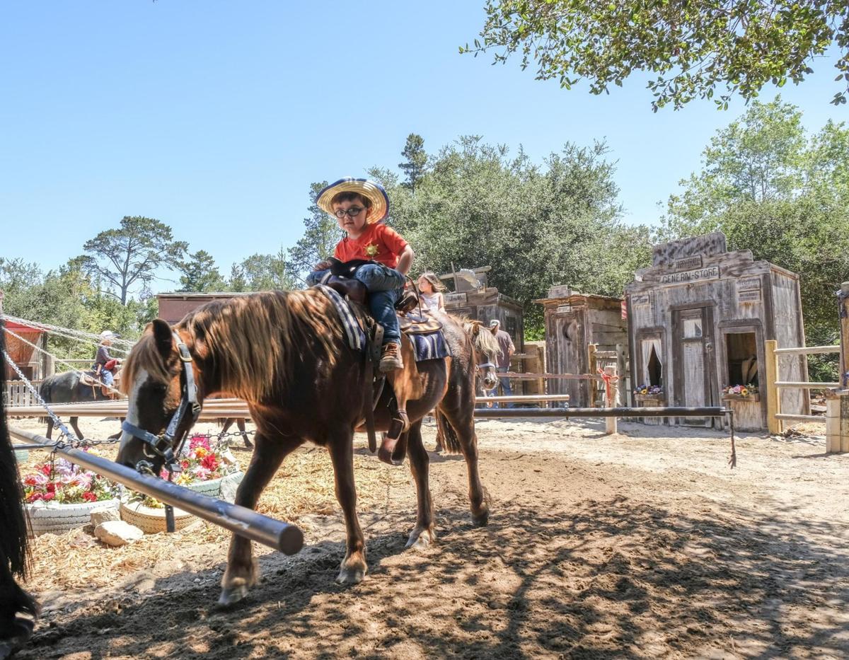 Happy Trails Pony Rides reopens at Waller Park | Local News ...