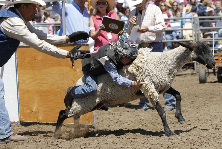 Minetti Mini Rodeo teaching new cowboys, cowgirls | Local News ...