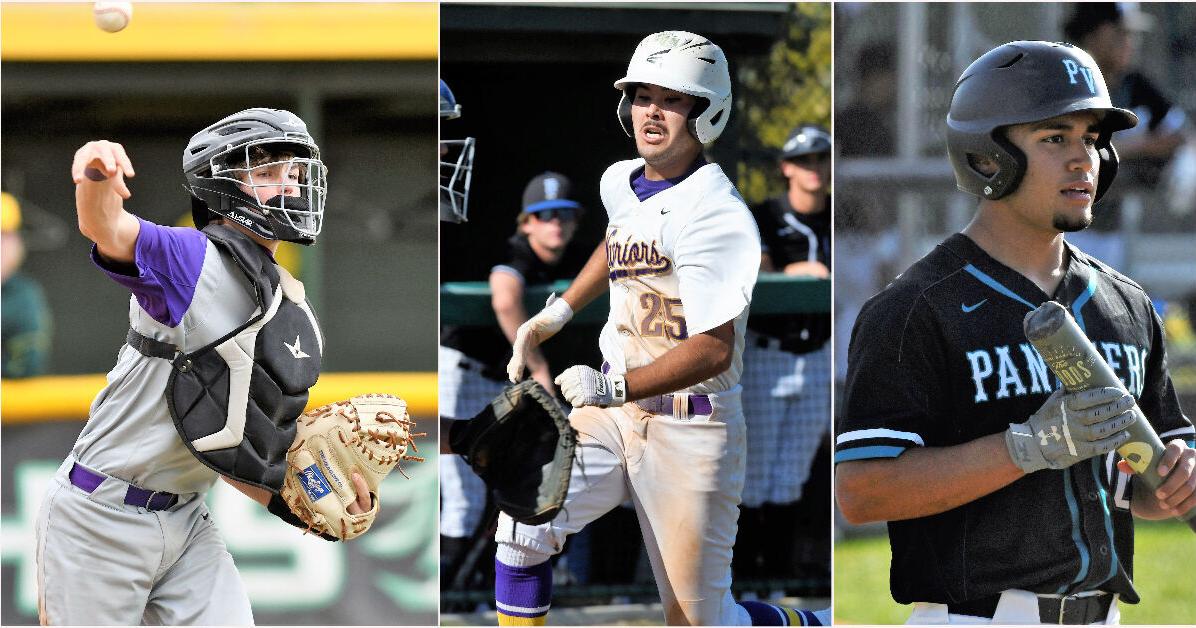 See who all made our All-Area baseball team | Sports News ...