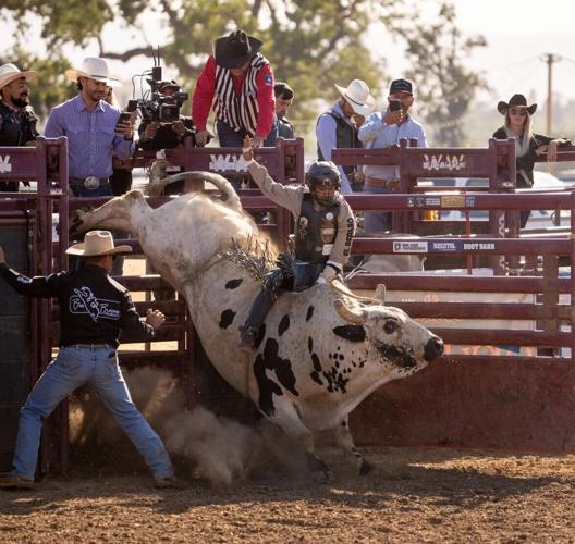 Top cowboys take titles at Old Santa Ynez Days Rodeo | Local News ...