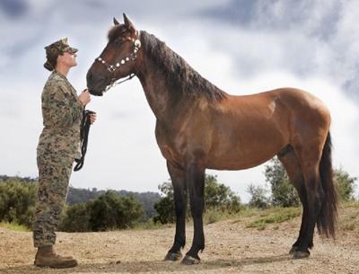 New instructor joins SYV Therapeutic Riding Program | Local News ...