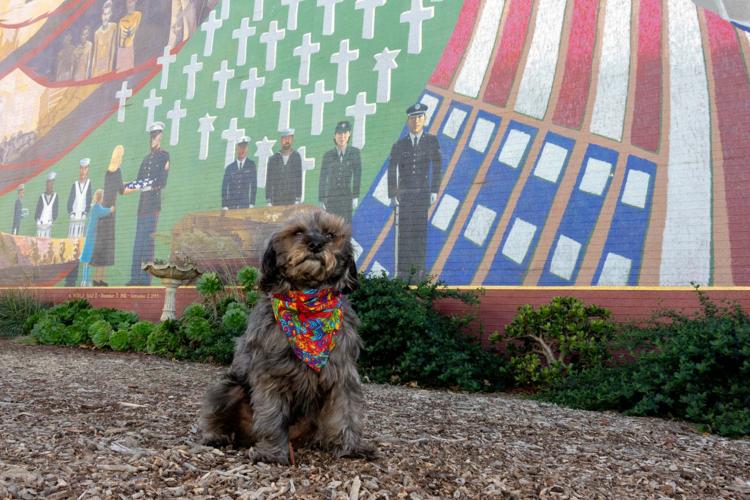 Where's Sparkie? Taking in some murals ... | Local News | lompocrecord.com